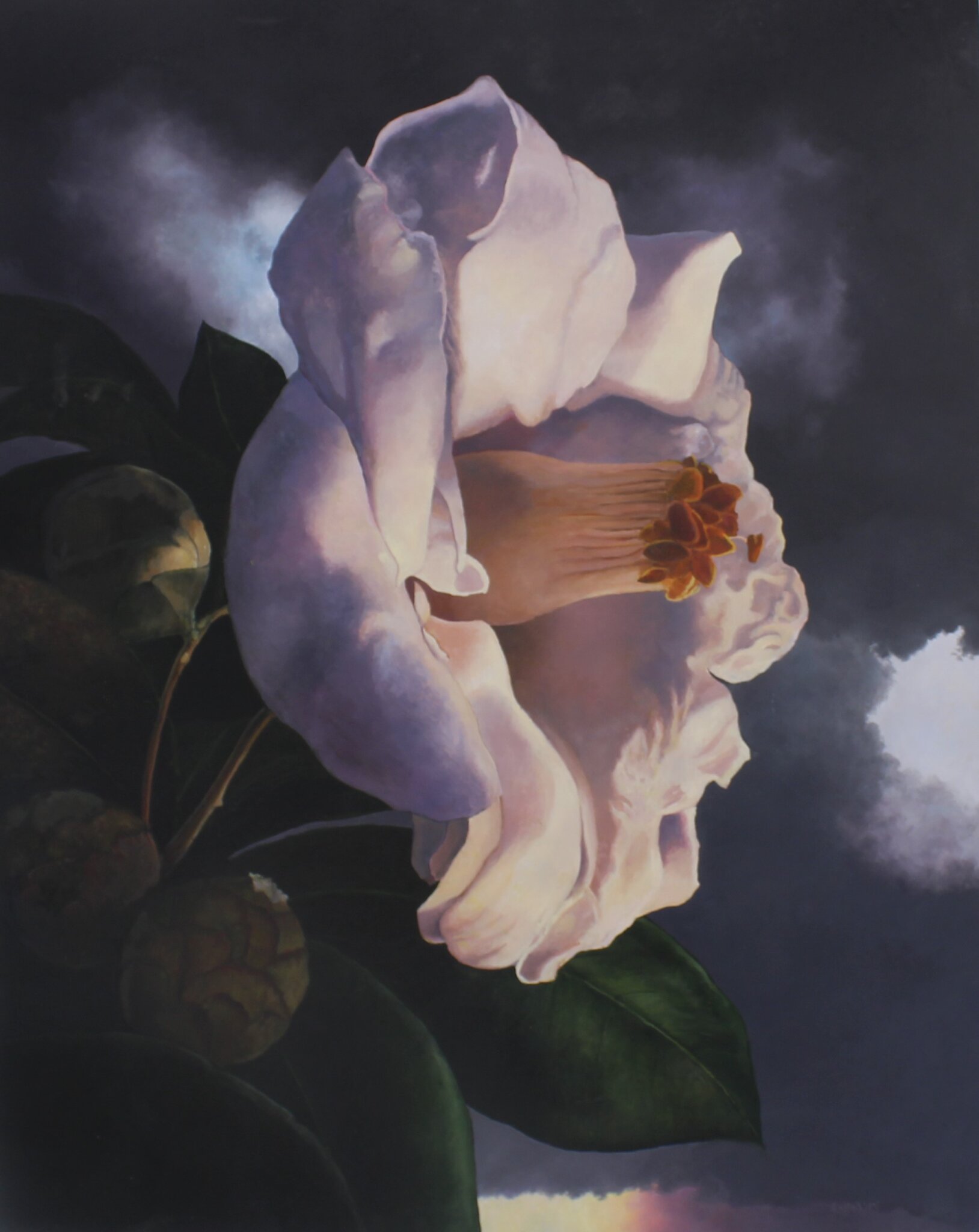 Still Life Paintings – Libby Johnson